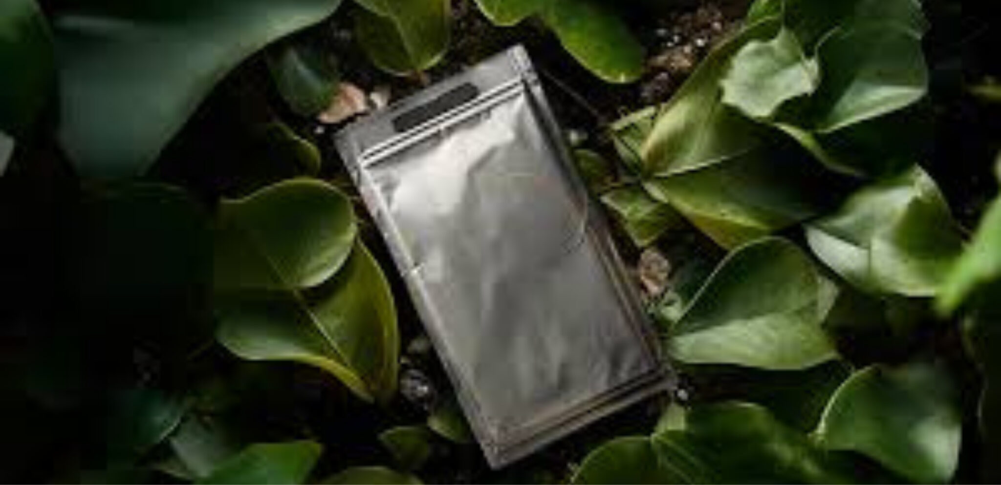 Tech Revolution: Singapore’s Rechargeable "Paper Battery" Enters Mass ...